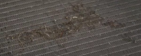 Bad Radiator Symptoms - Radiator Leaking Coolant and More - 1A Auto